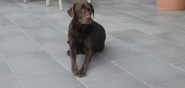 Steinplatten günstig kaufen | Steinlese Natursteine